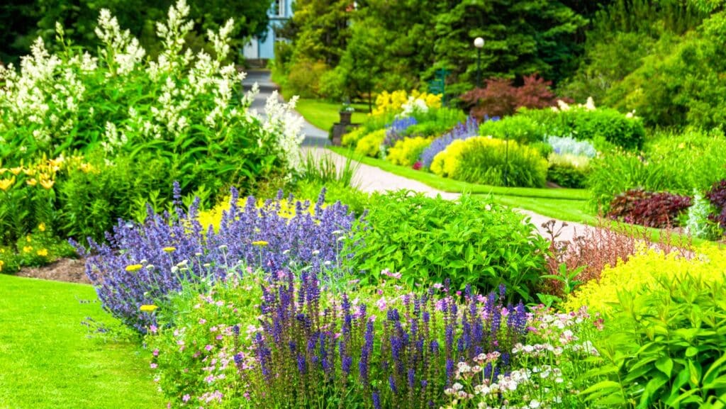 Creating a Botanical Garden: A Step-by-Step Guide With PDF