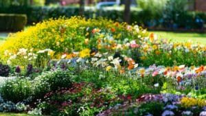 Ornamental Horticulture: A Comprehensive PDF Guide